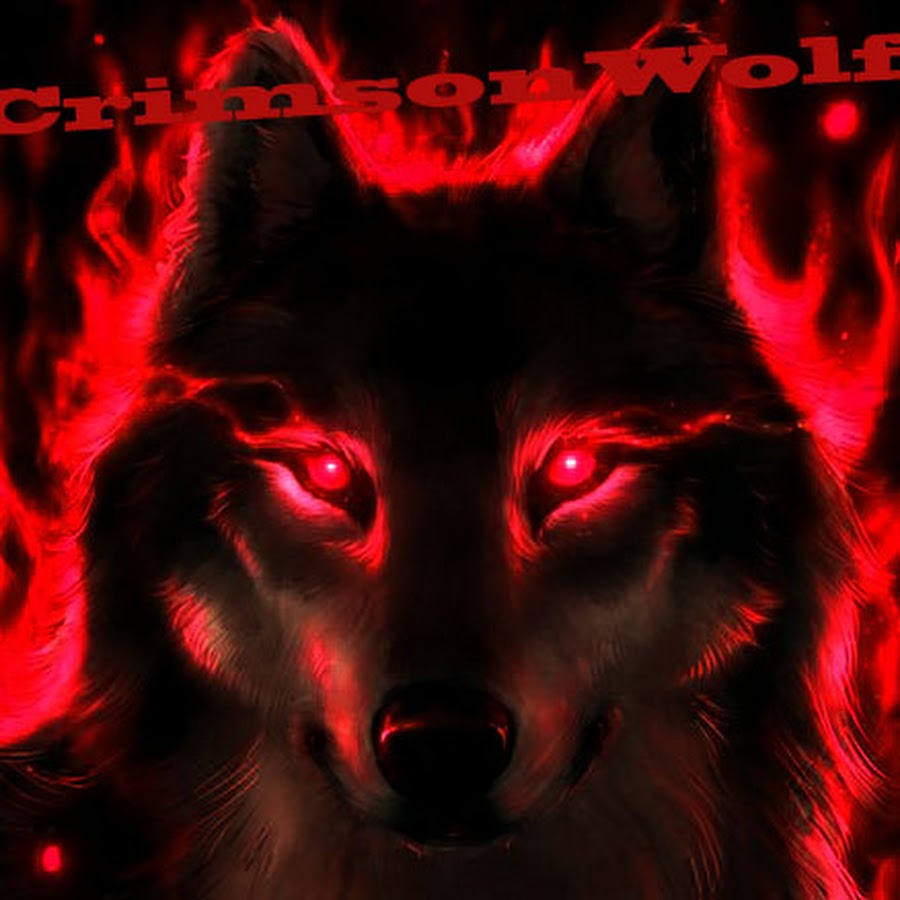 Crimson Wolf - YouTube