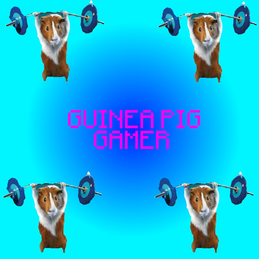 Guinea Pig Gamer - YouTube