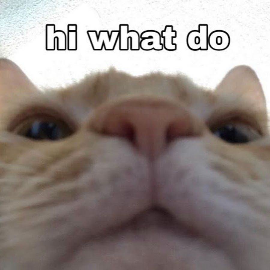 some random human - YouTube