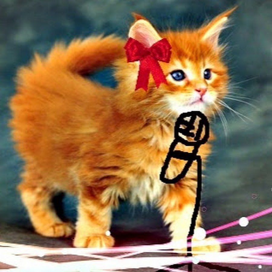 Fire Kitten - YouTube