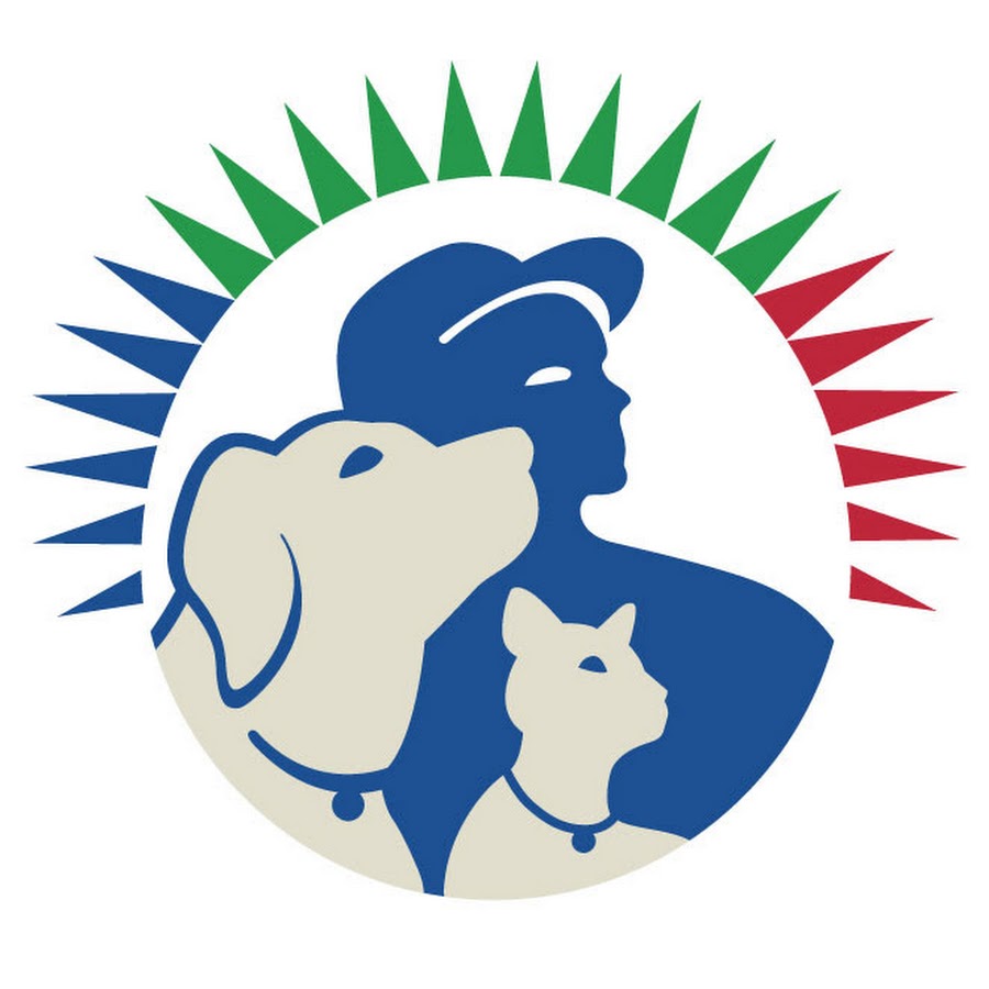 Maricopa County Animal Care & Control - YouTube