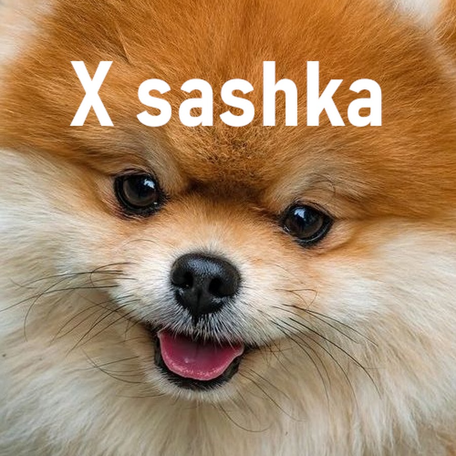 X sashka - YouTube