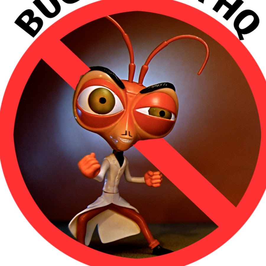 Bug Buster HQ - YouTube