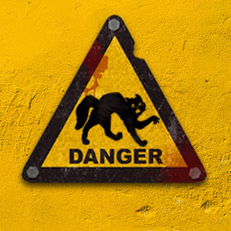 DANGER CAT - YouTube
