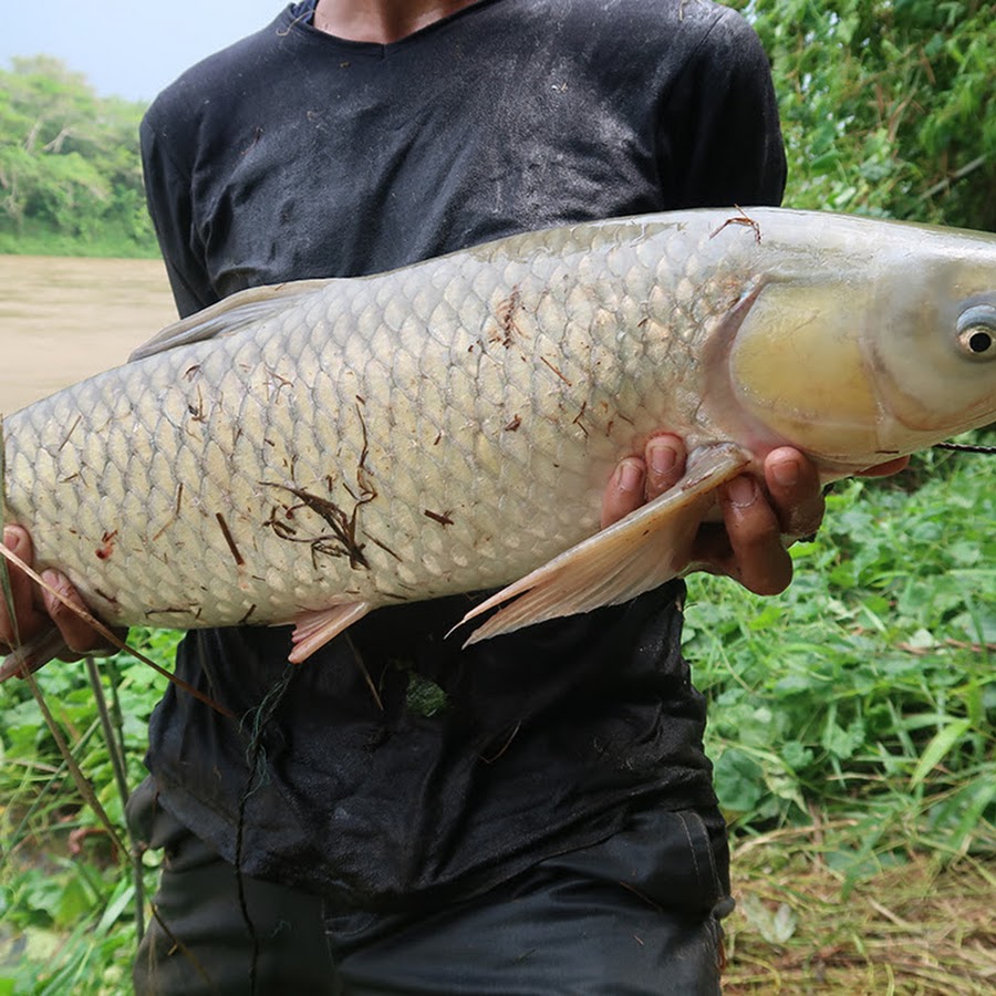 Catch and Cook TV - YouTube