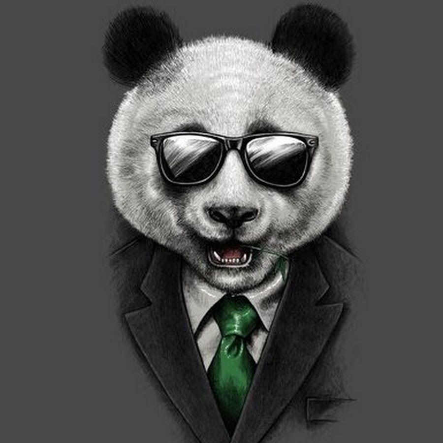 Gassy Panda - YouTube