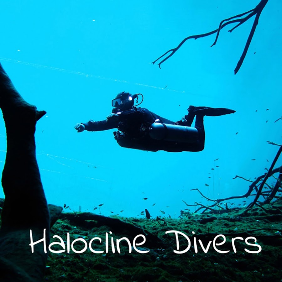 Halocline Divers - YouTube