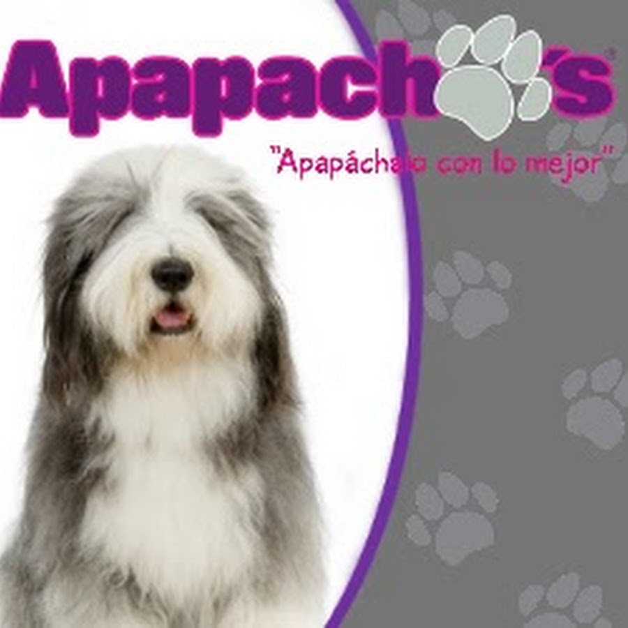 Apapachos alimento - YouTube