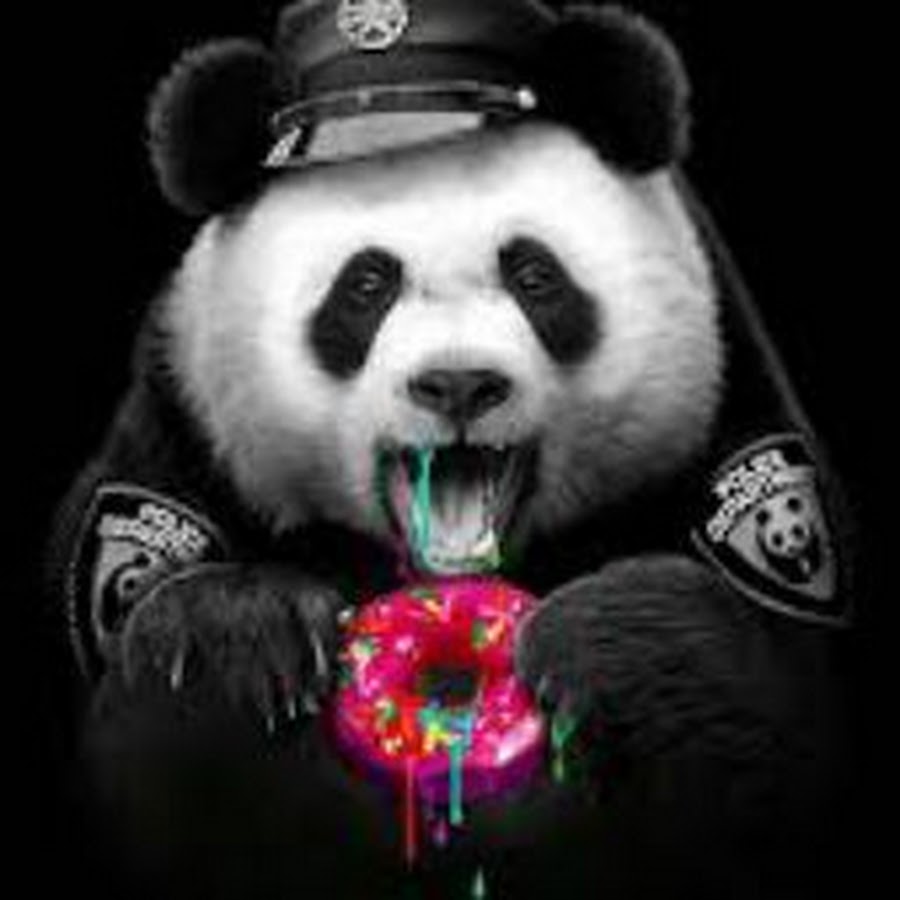 Panda Toxic - YouTube