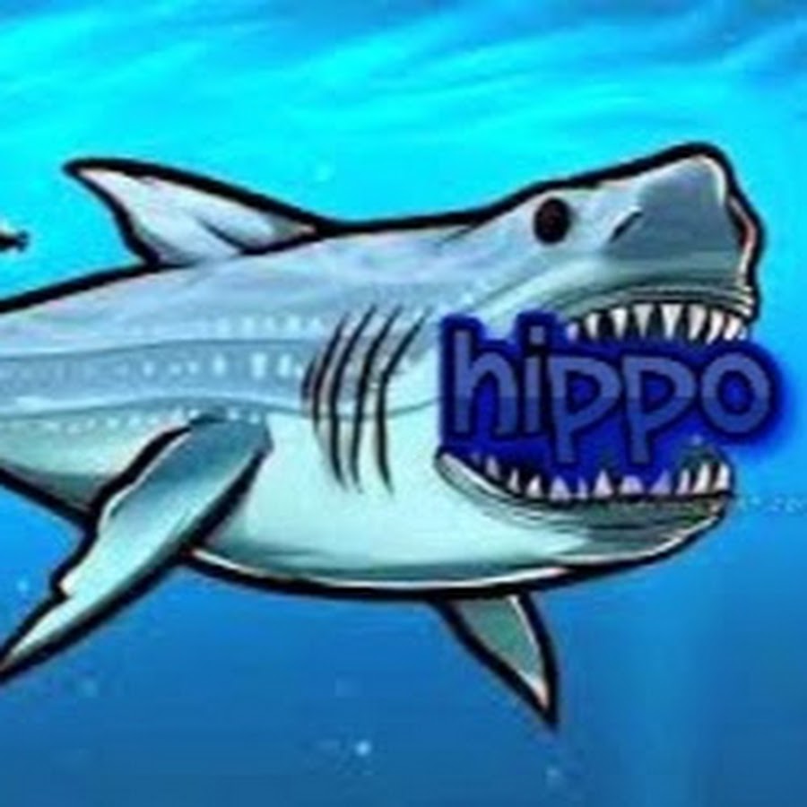 SHARK hippo - YouTube