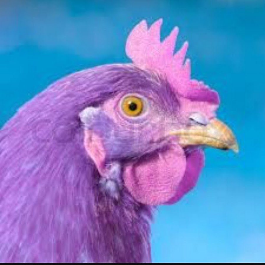 Purple Chicken - YouTube