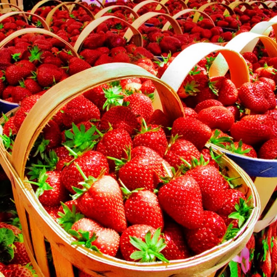 Capsuna Dacilor.basarabia - YouTube