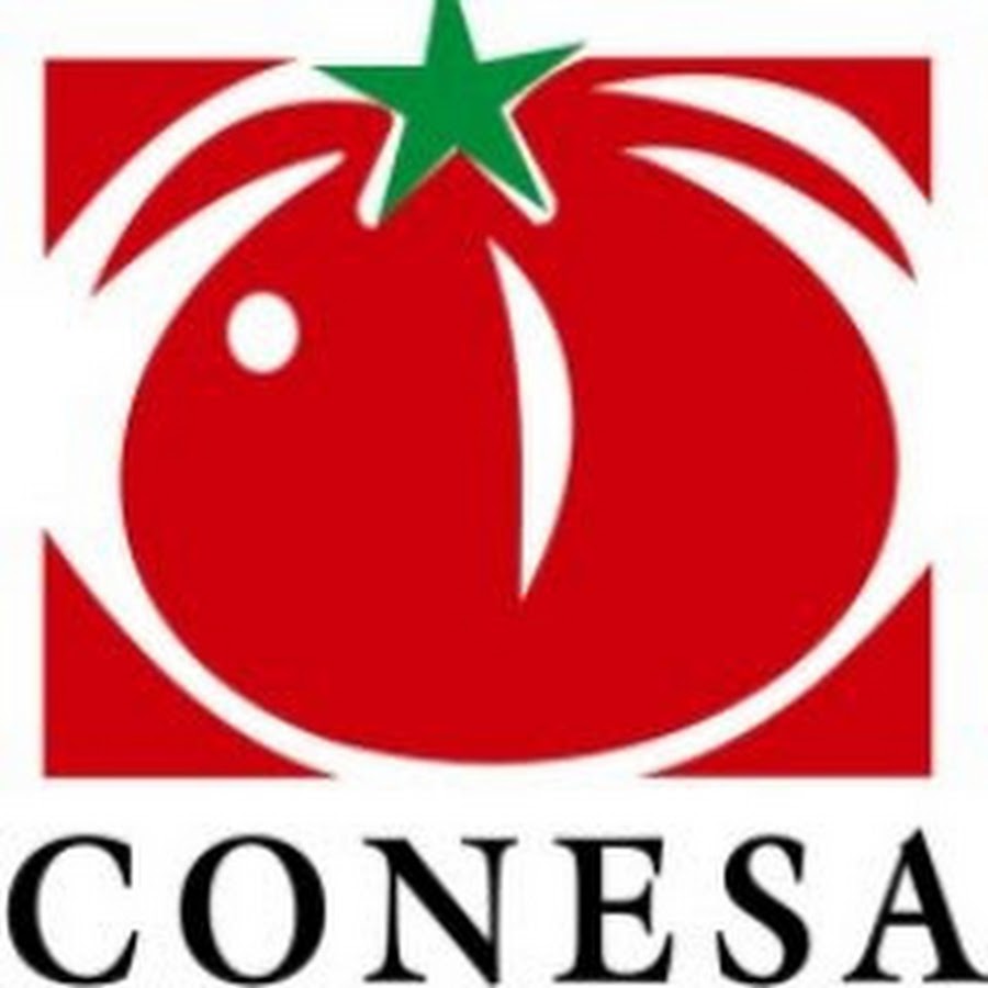 Conesa Noticias - YouTube