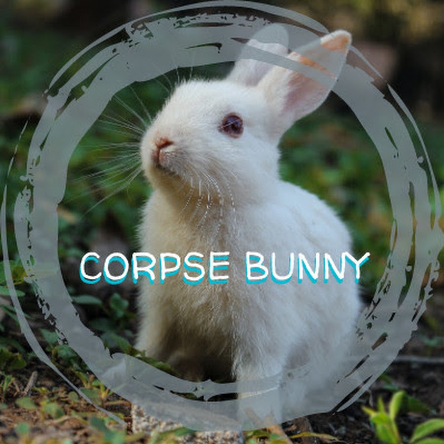 Corpse Bunny - YouTube