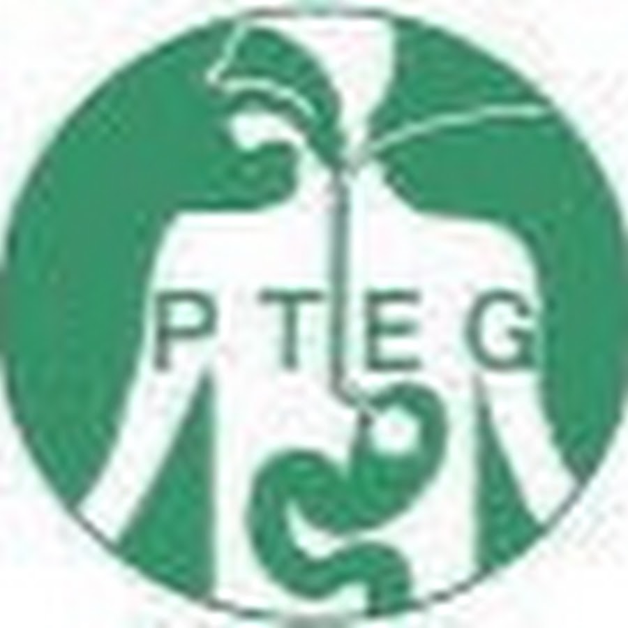 PTEG研究会HP担当. - YouTube