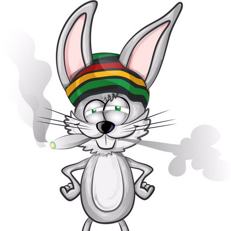 Sneaky Rabbit - YouTube