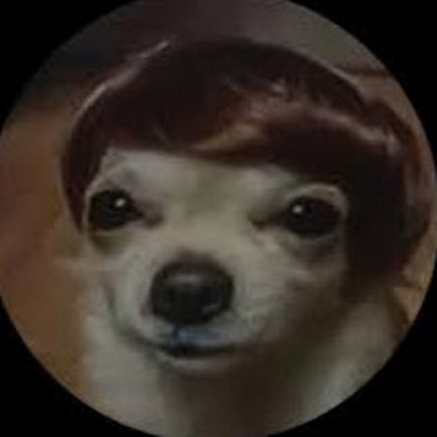 Mr. Derp •_• - YouTube