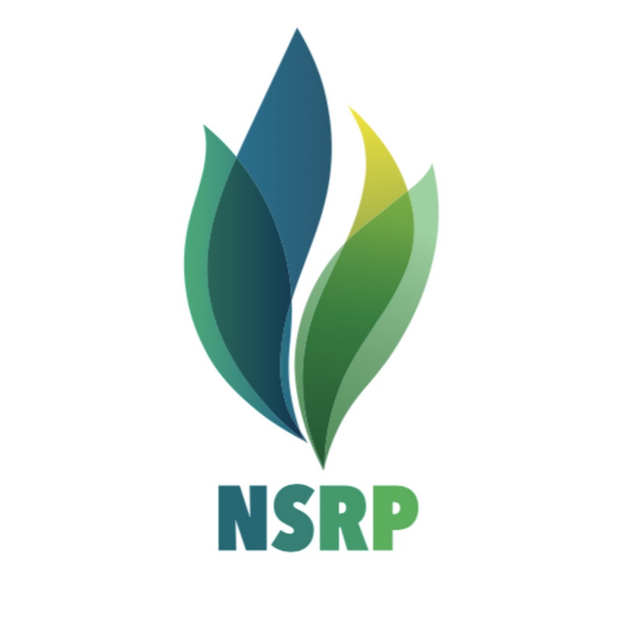 NSRP Official Channel - YouTube