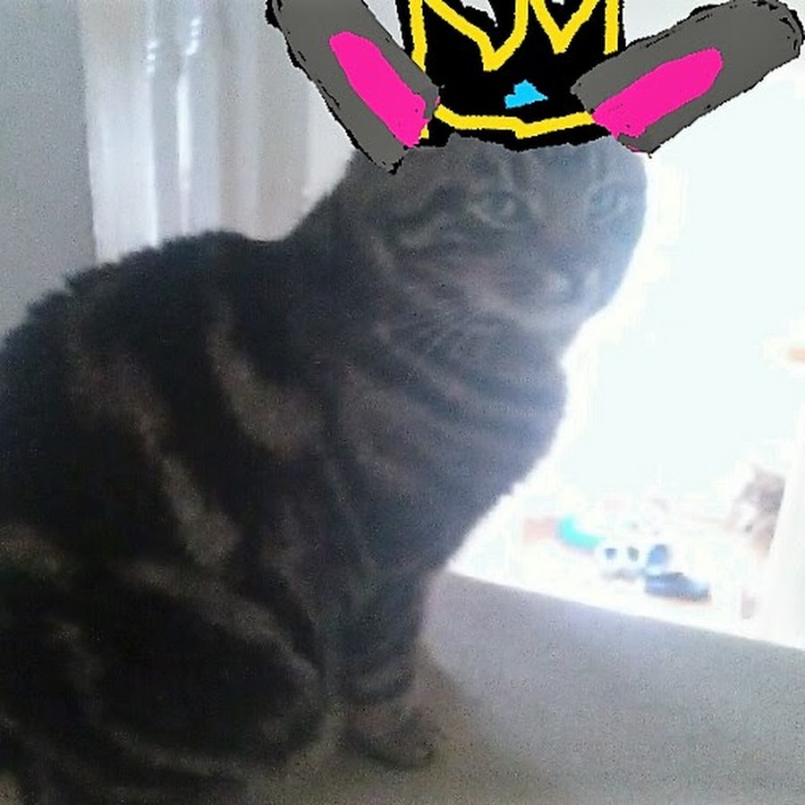 The Bunny Gamer - YouTube