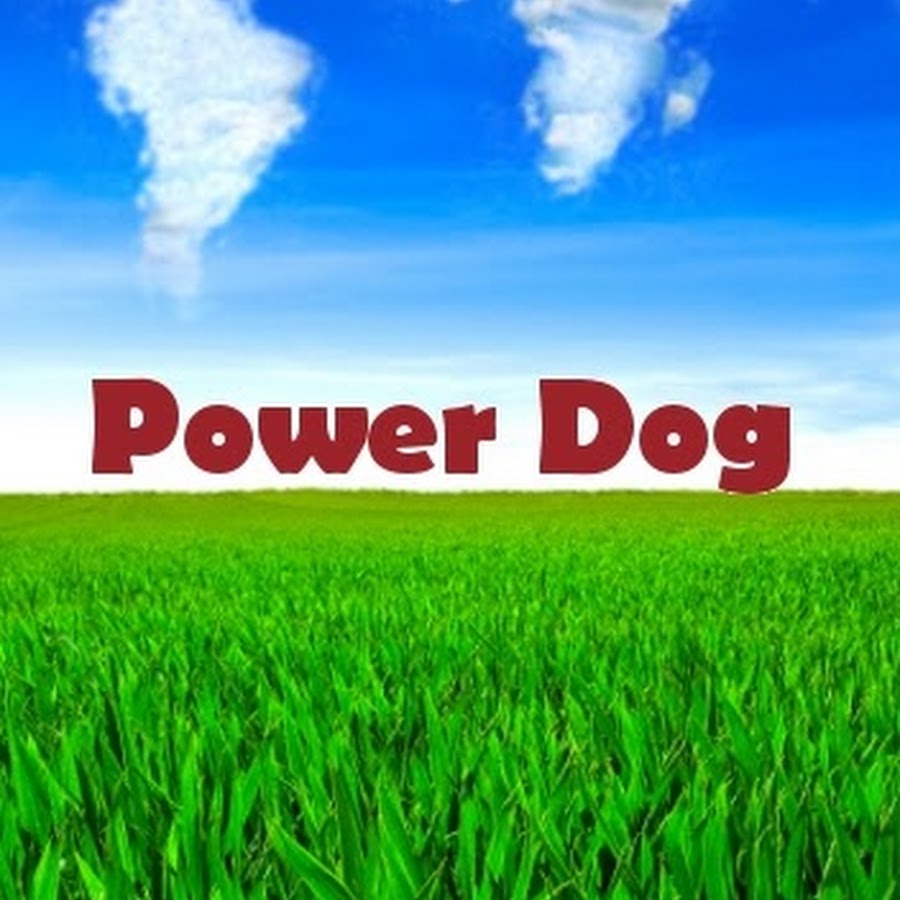 Power Dog Equipment - YouTube