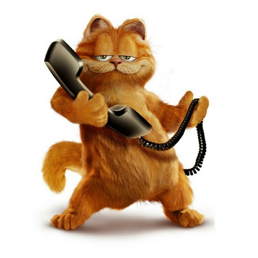 DR. Garfield - YouTube