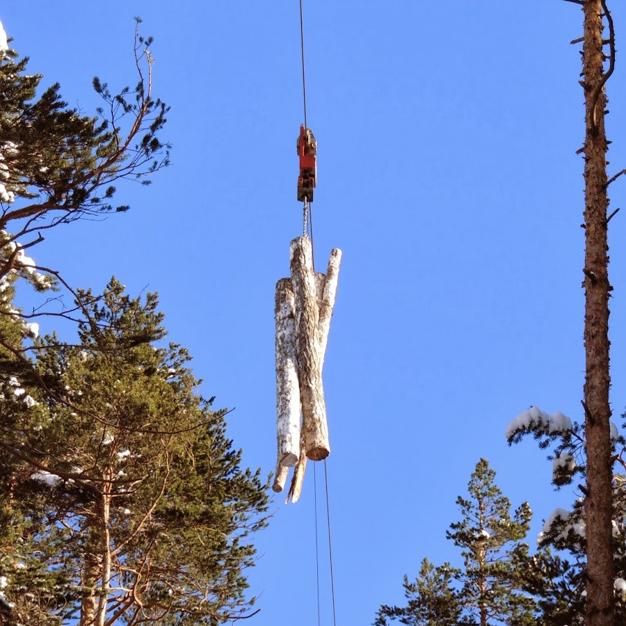 Exploatare forestiera cu funicular - YouTube