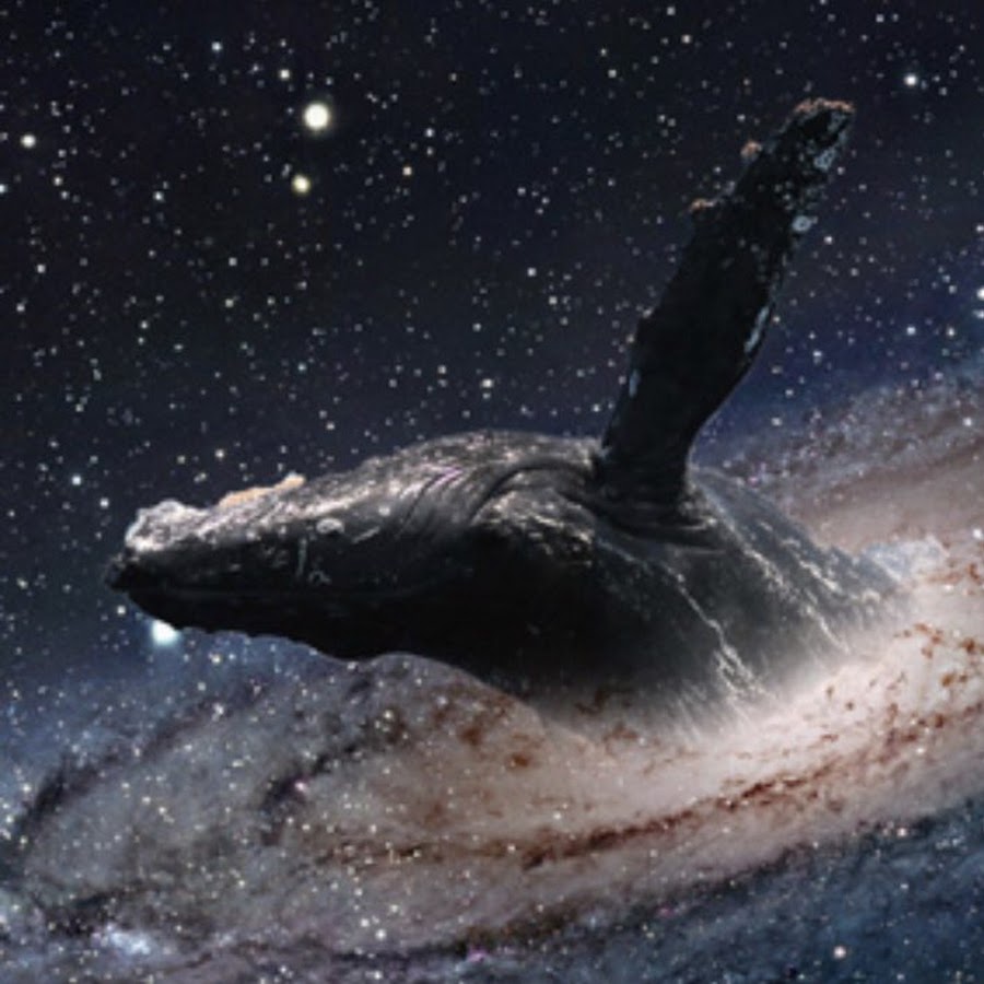 Space Whale - YouTube