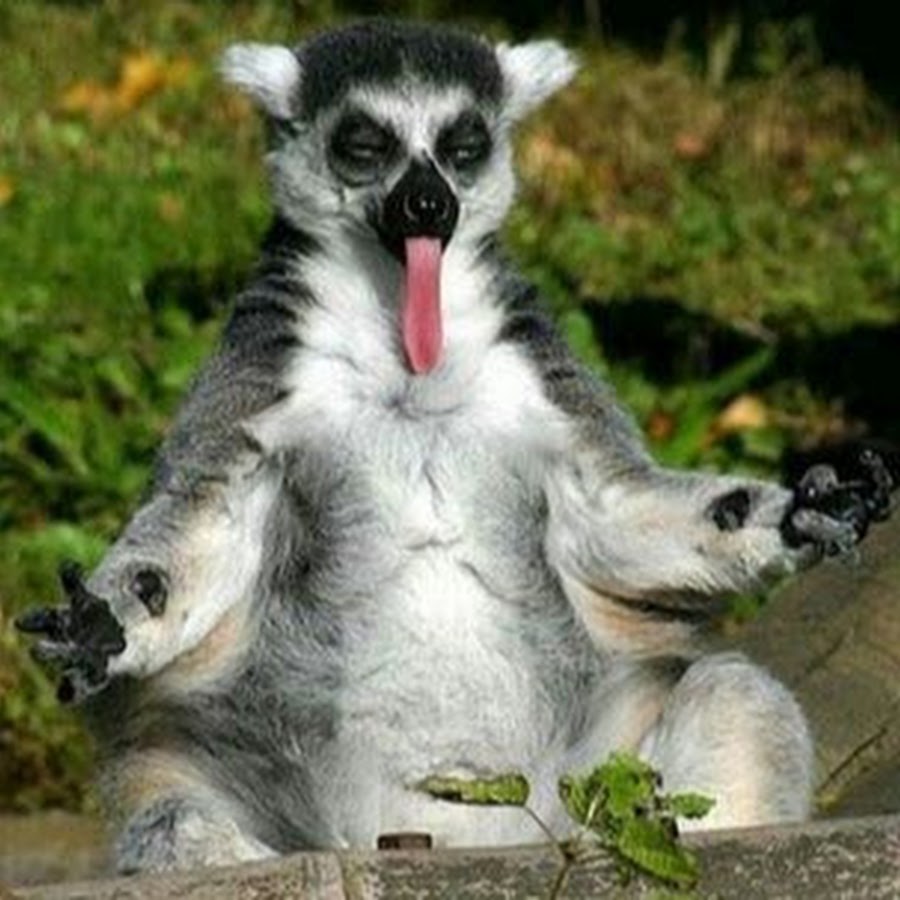 Lemure - YouTube