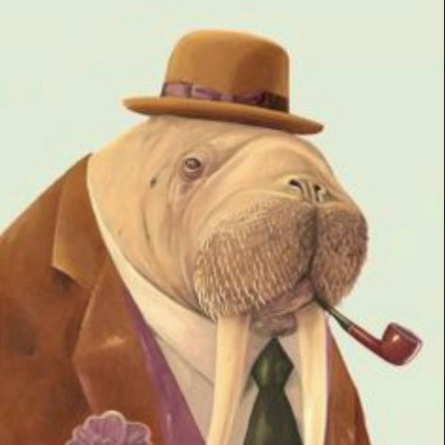 Mr. Walrus - YouTube