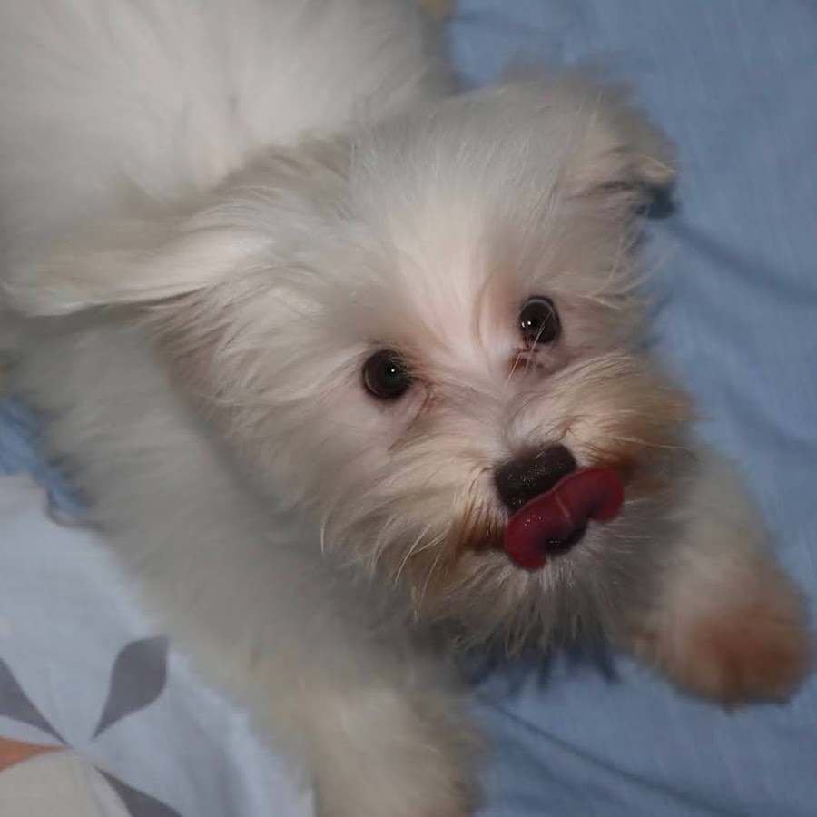 Erika Oreta - YouTube