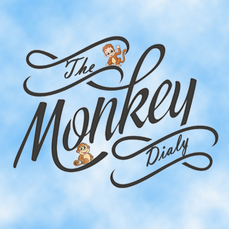 Monkey Channel - YouTube