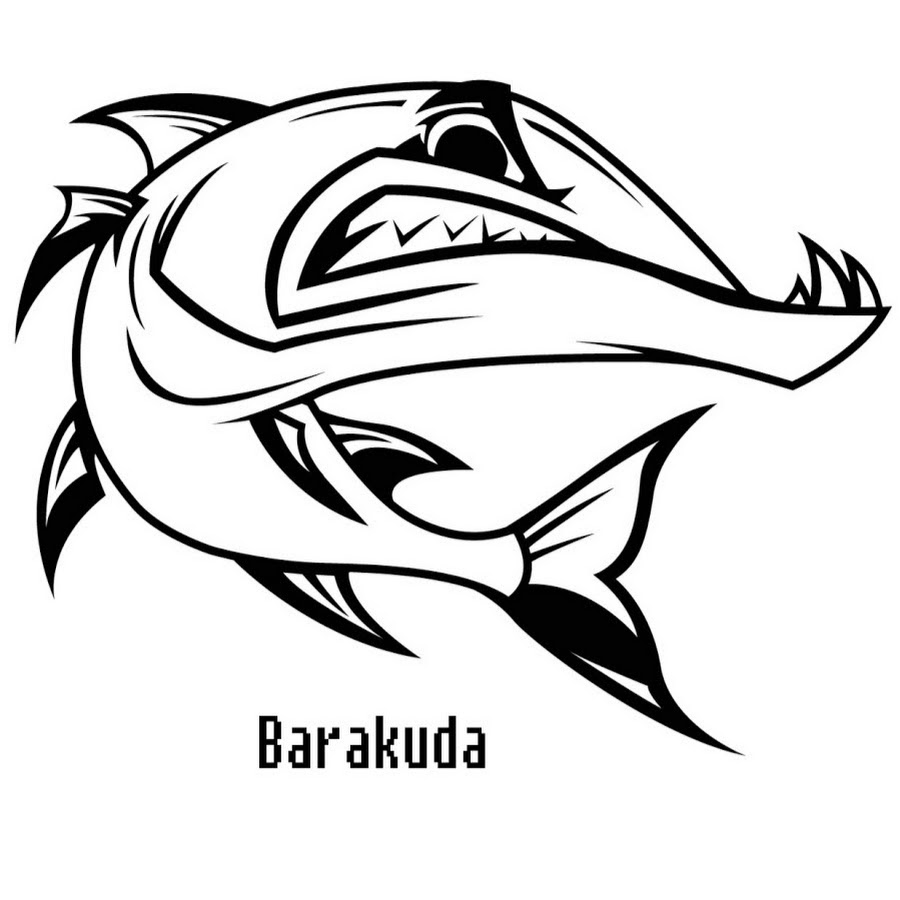 Barakuda - YouTube