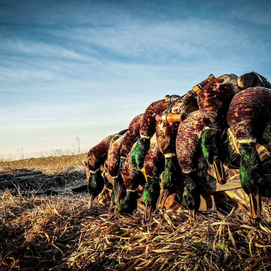 The Duck Factory - YouTube