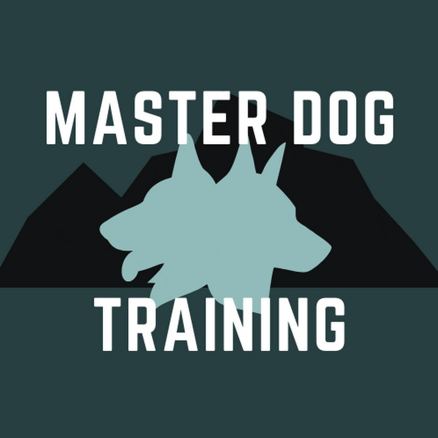 Master Dog Training - YouTube