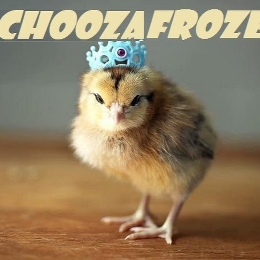 chooza frozen - YouTube