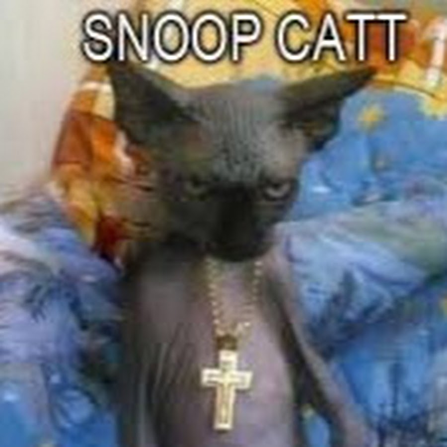 snoop Catt 2nd - YouTube