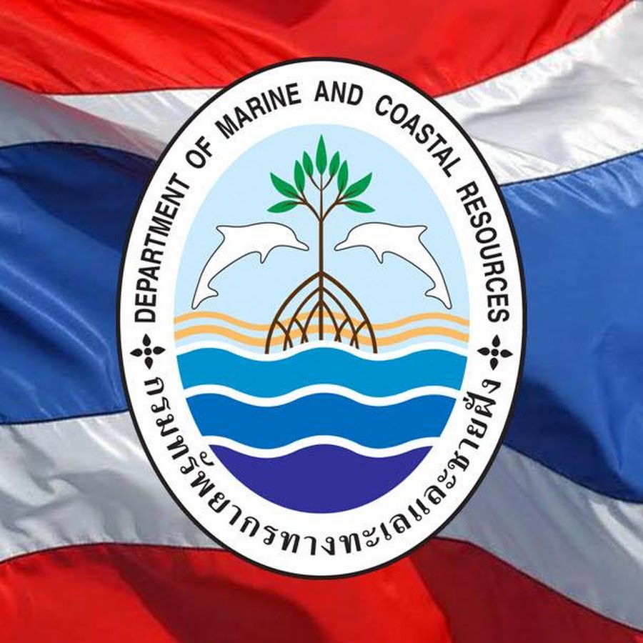 Dmcr Thailand - YouTube