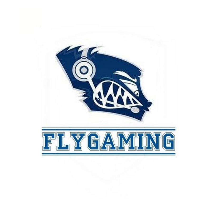 fly gaming - YouTube
