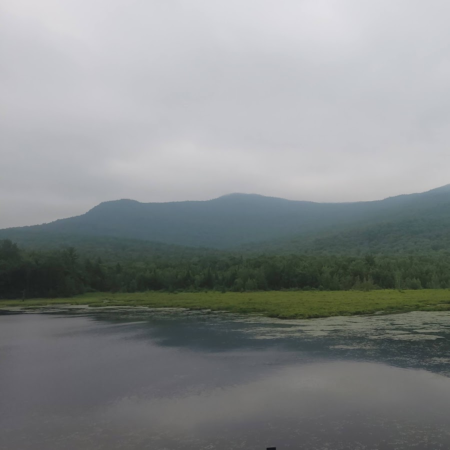 fans_kelogish #Roblox - YouTube