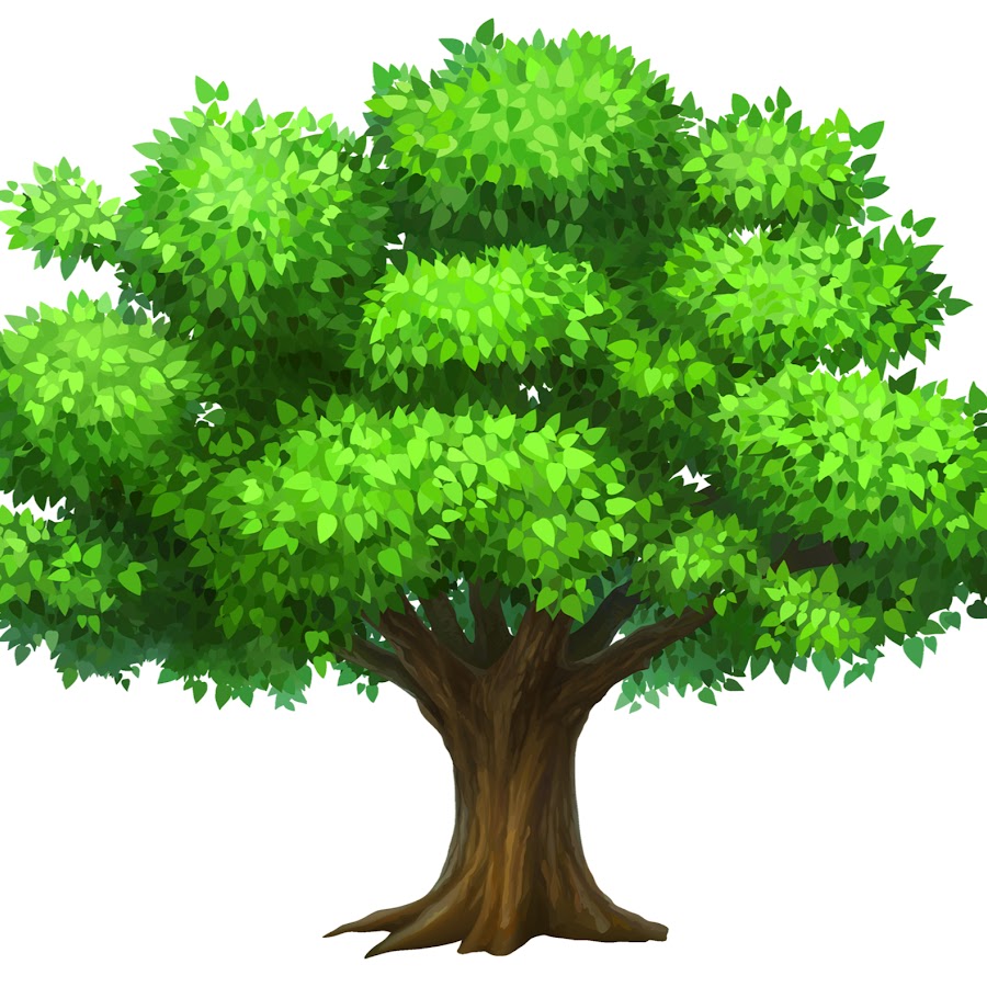 A Random Tree - YouTube