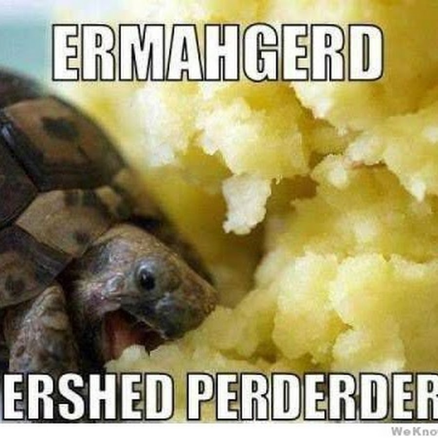 Mershed Perderders - YouTube