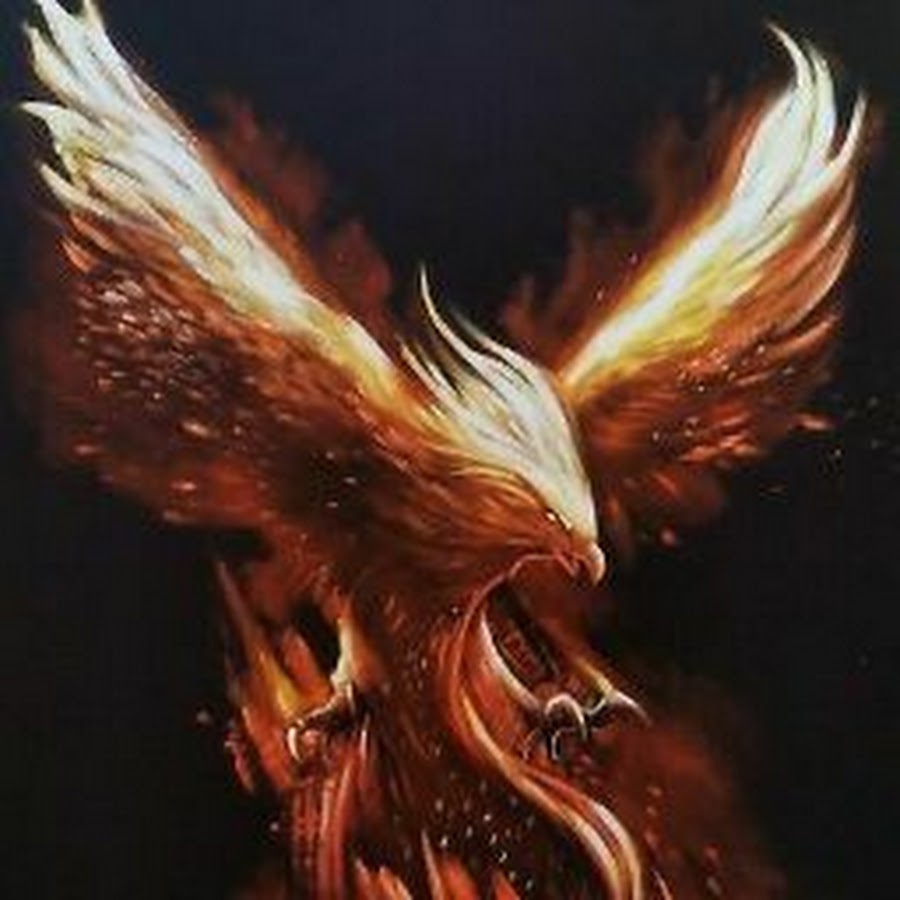 Fiery Phoenix - YouTube