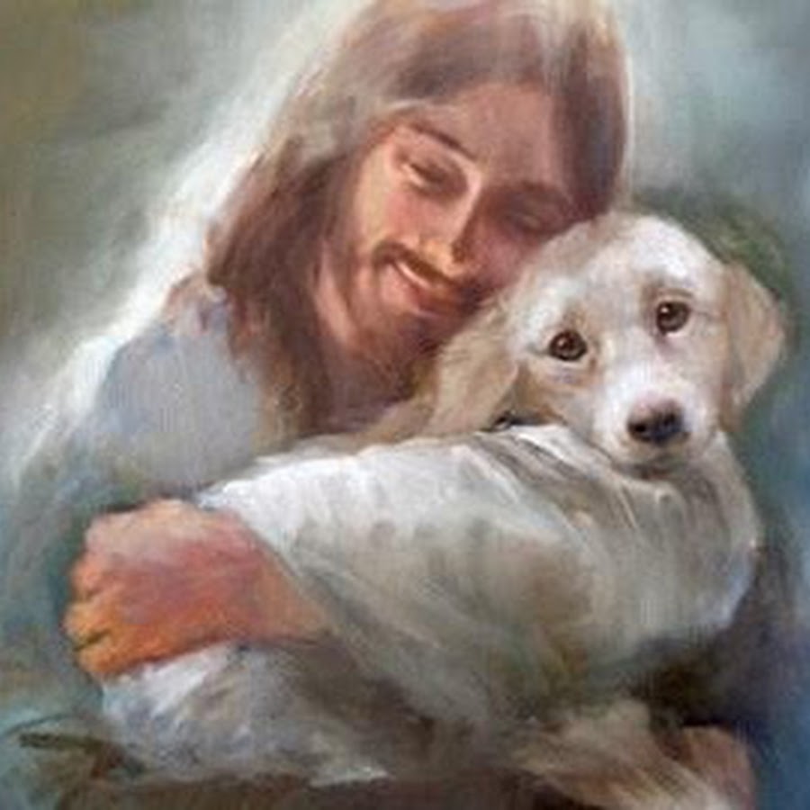 El Perrito De Dios - YouTube