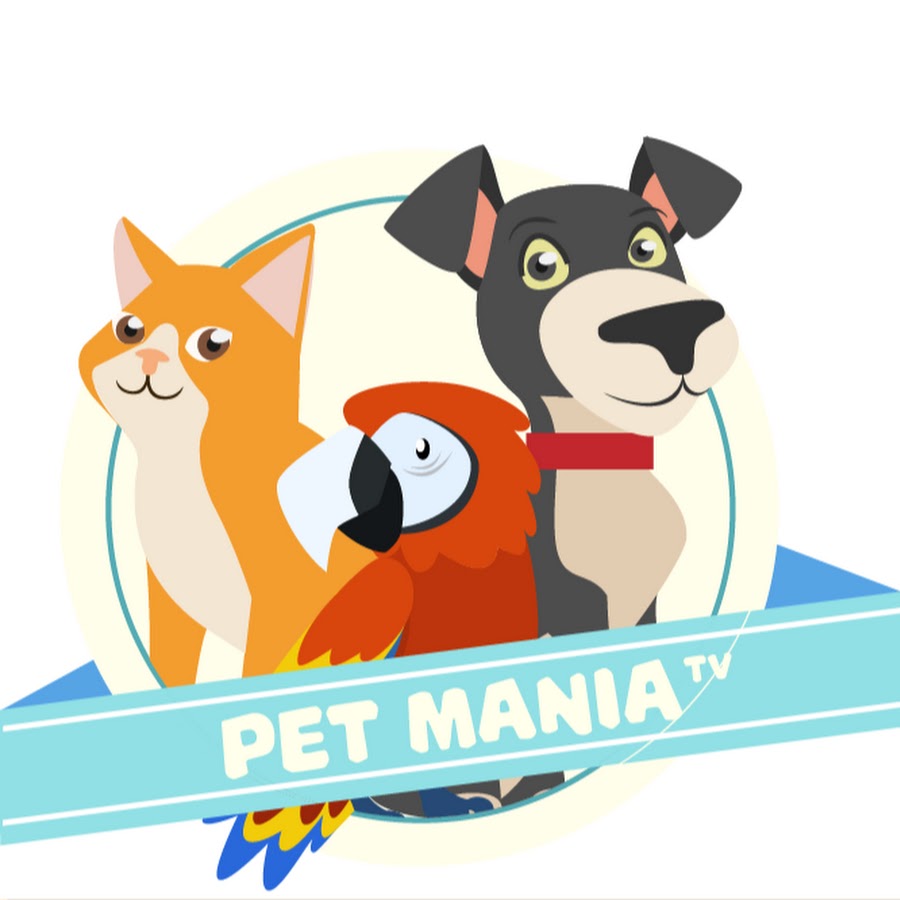 Programa PetMania - YouTube
