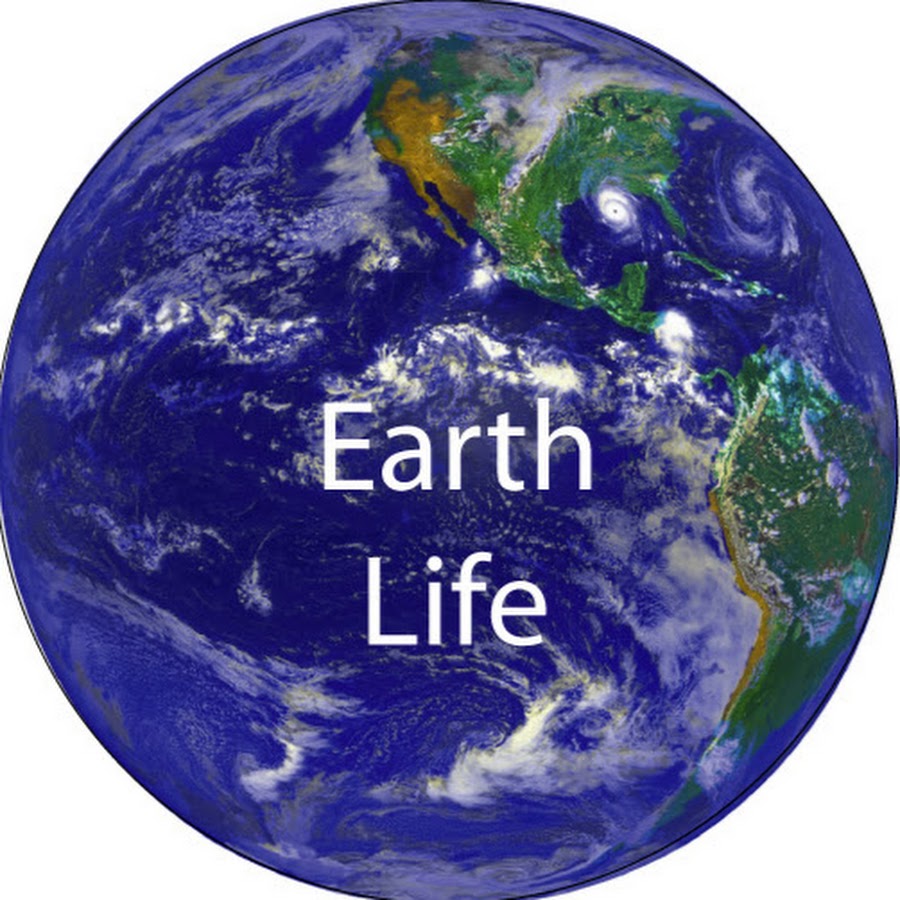 Earth Life - YouTube