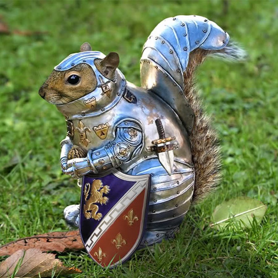 Squirrel Knight - YouTube