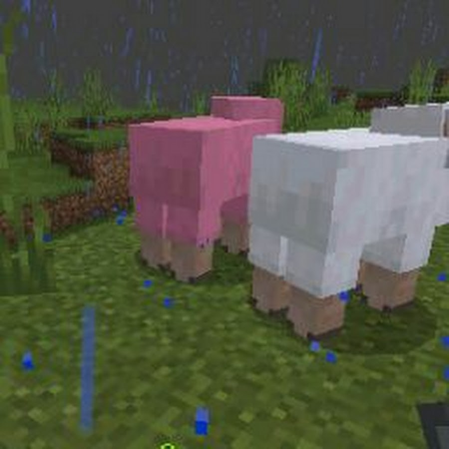 i saw a pink sheep in mc - YouTube