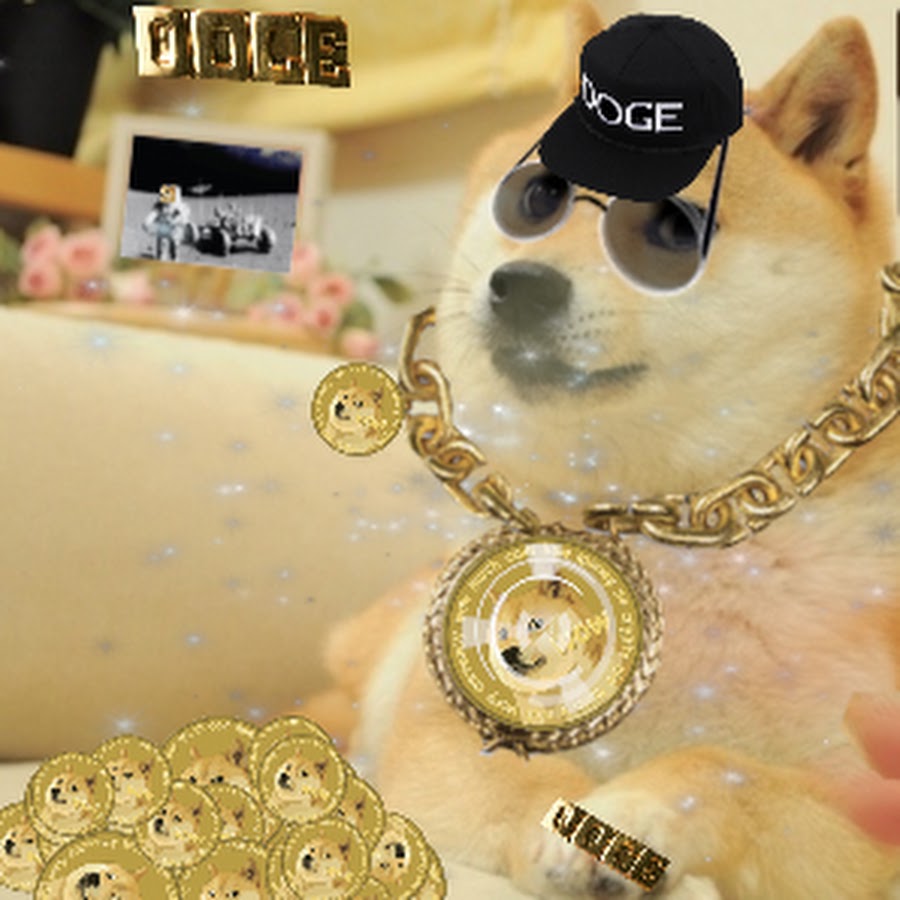 Real Doge - YouTube