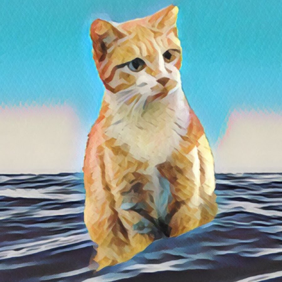 쿤캣 KunCat - YouTube