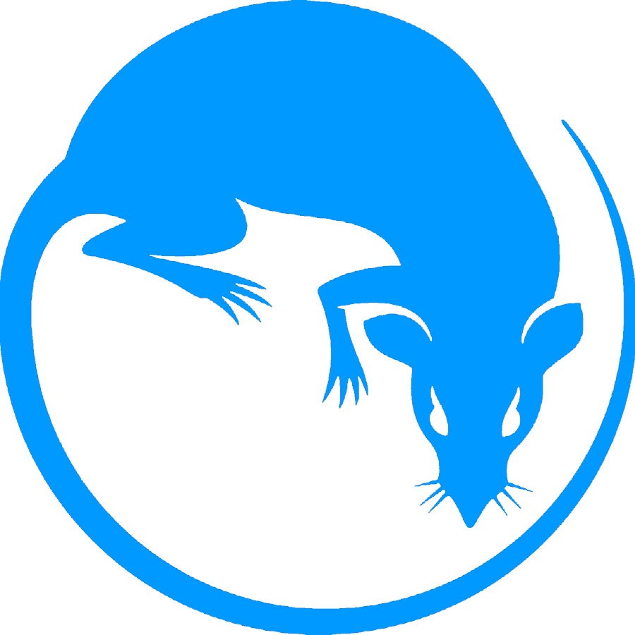 Blue Rat - YouTube